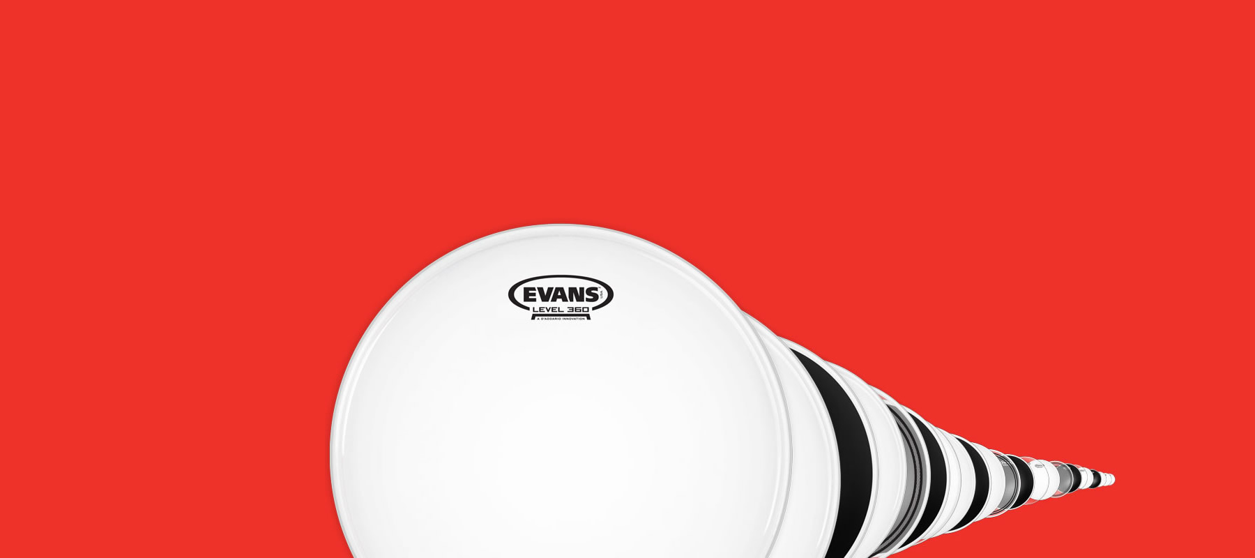 Amazon.co.jp: EVANS: G1
