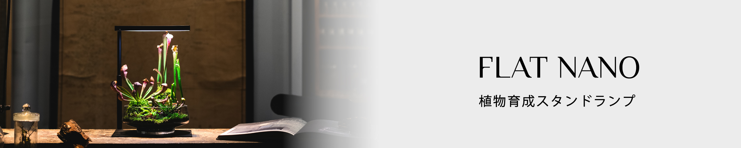 Amazon.co.jp: ONF: Extension Stand