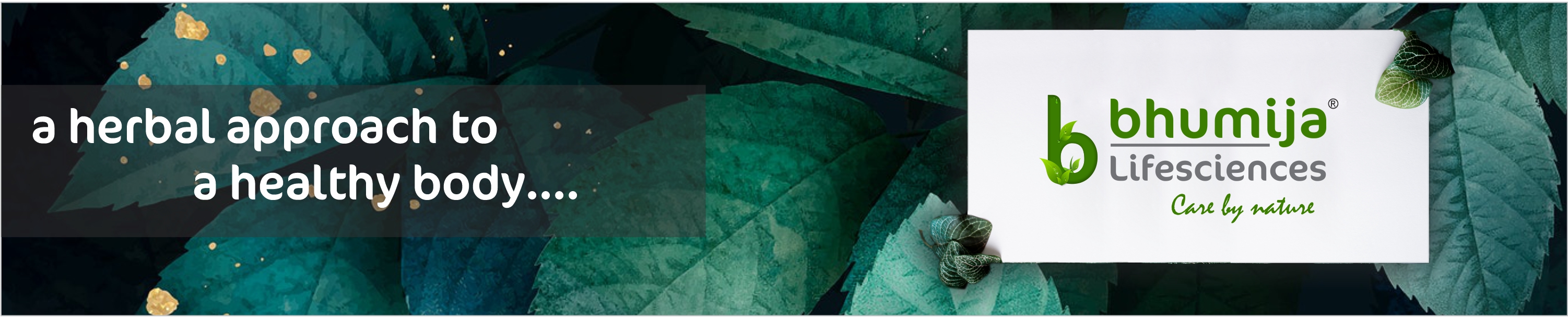 Amazon.in: BHUMIJA LIFESCIENCES