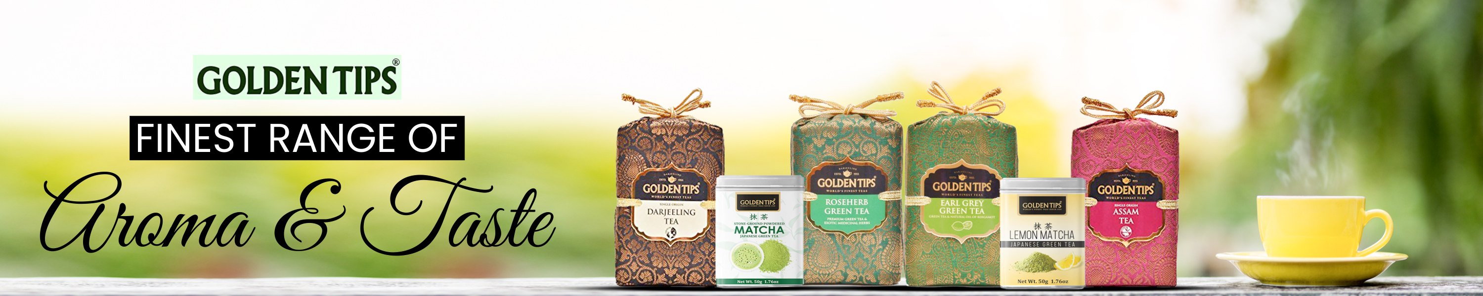 Amazon.in: Golden Tips: GIFTING