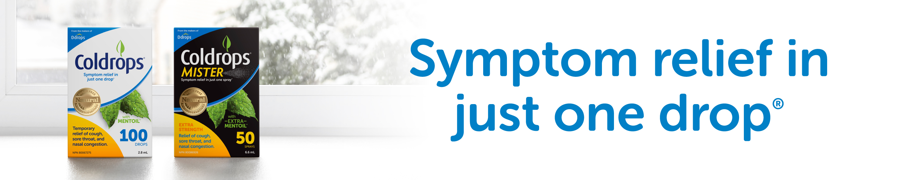 Amazon.ca: Ddrops: Cold Relief