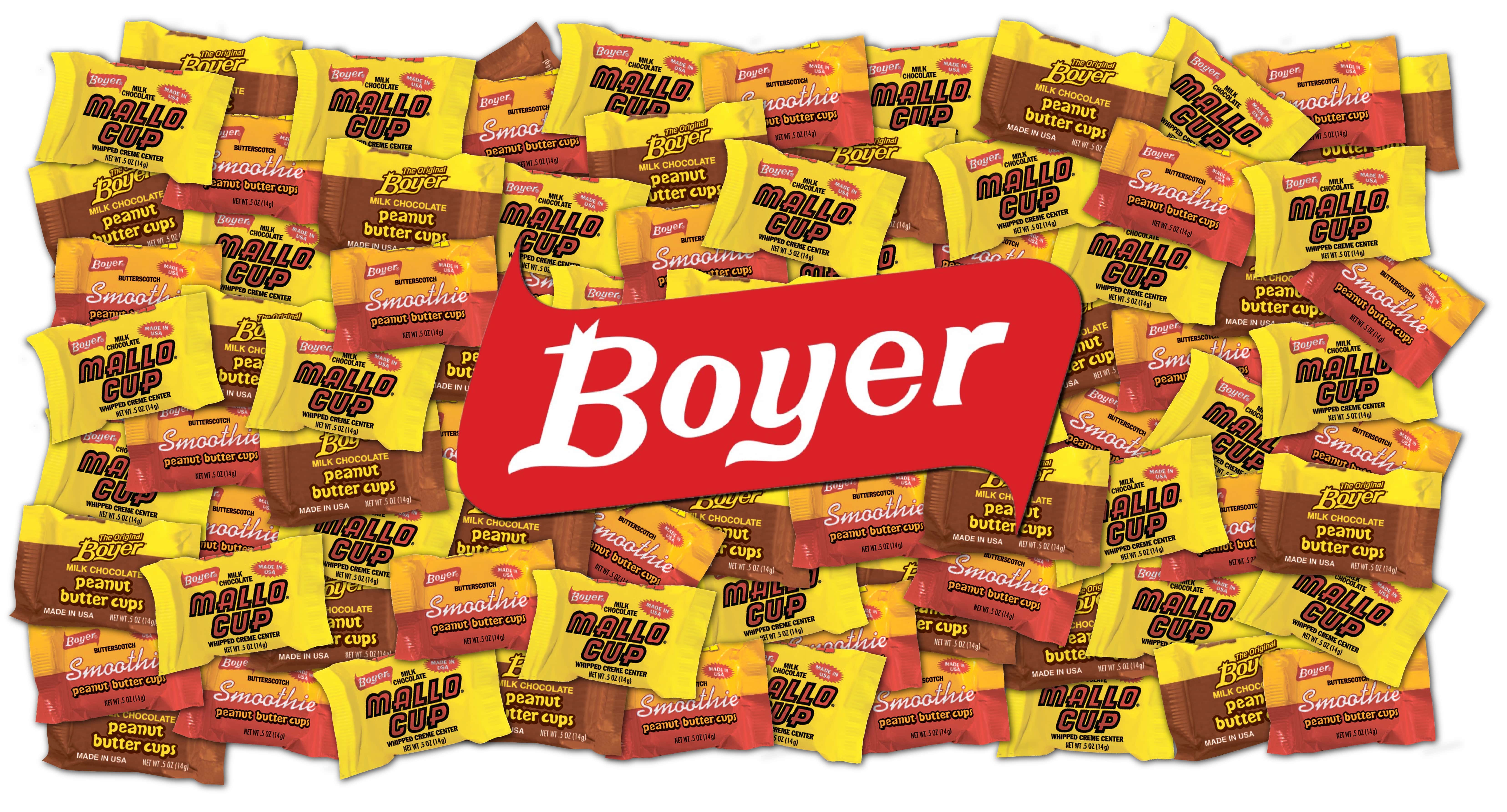 Amazon.com: Boyer Candy: Smoothies