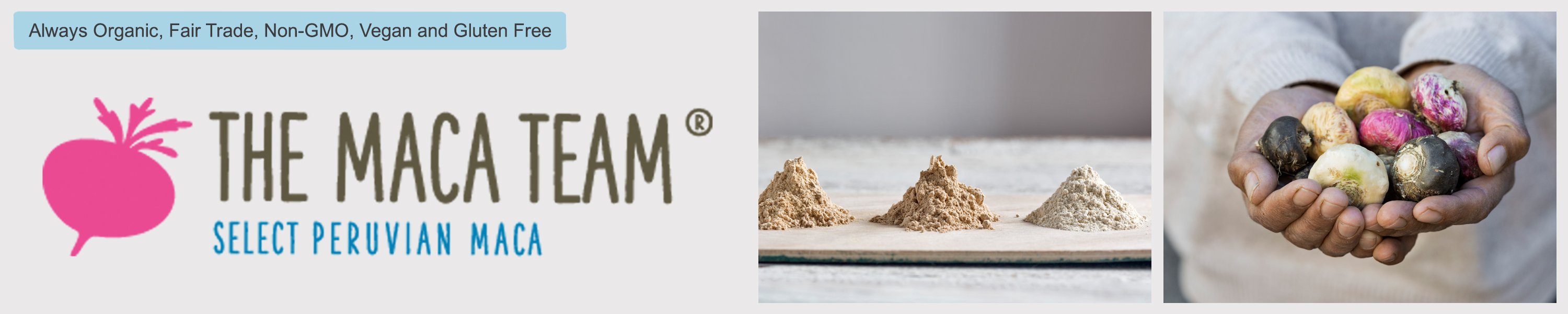 Amazon.com: The Maca Team®: Black Maca