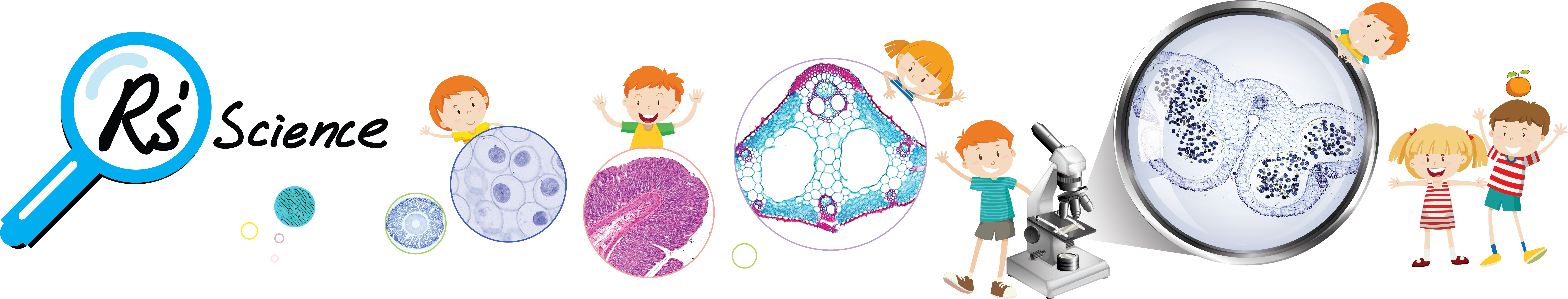 Amazon.com: Rs' Science