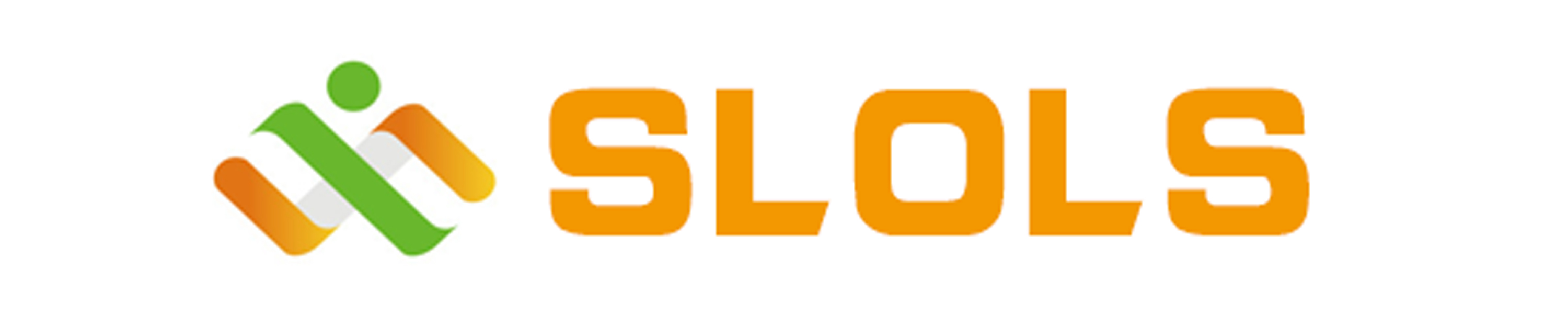 Amazon.com: Slols