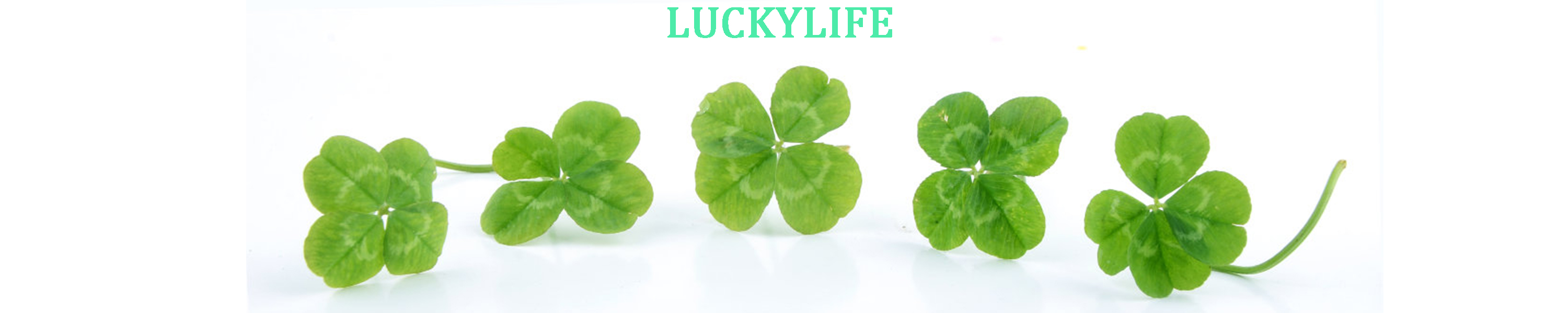 Amazon.com: LUCKYLIFE
