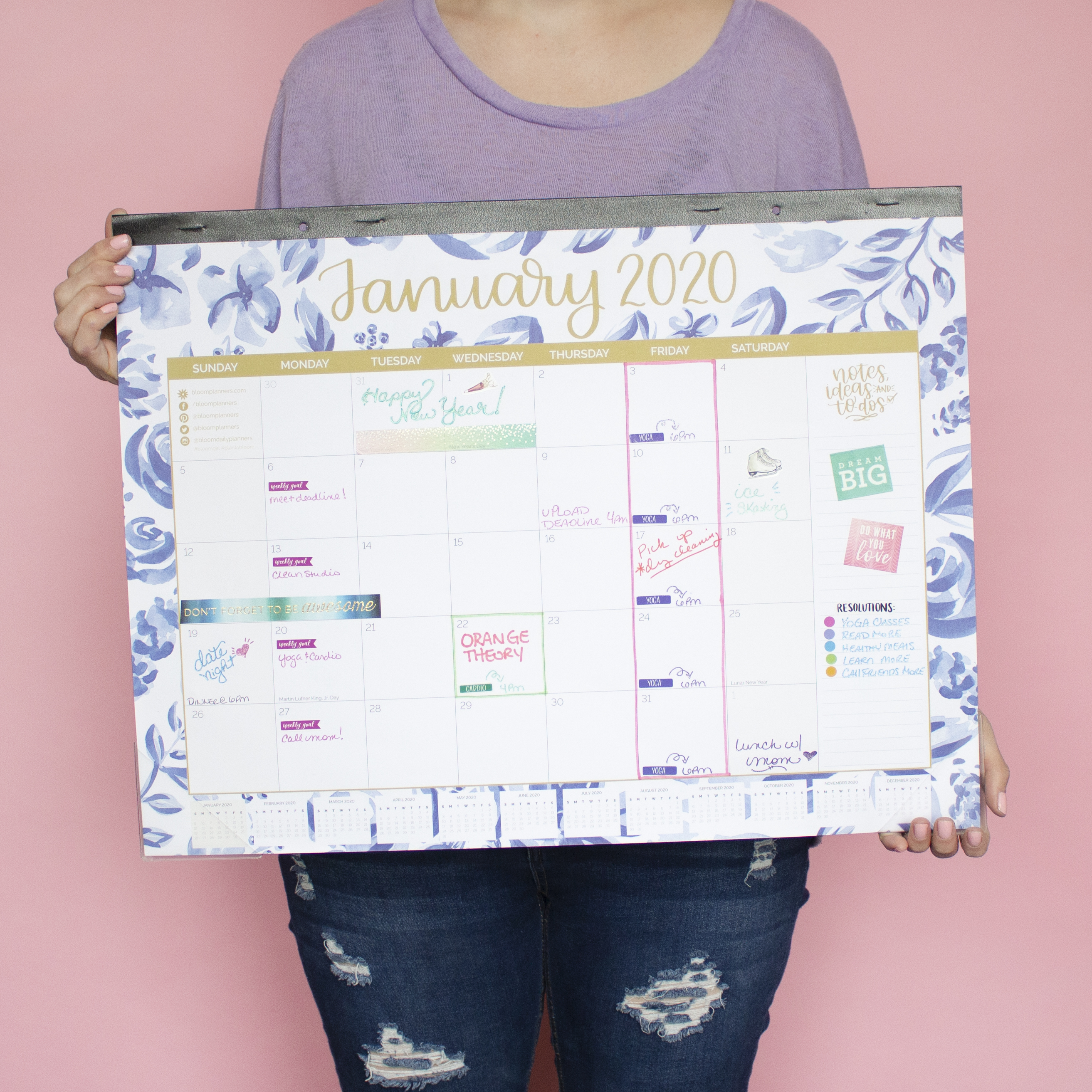 Amazon Bloom Daily Planners Desk Wall Calendars