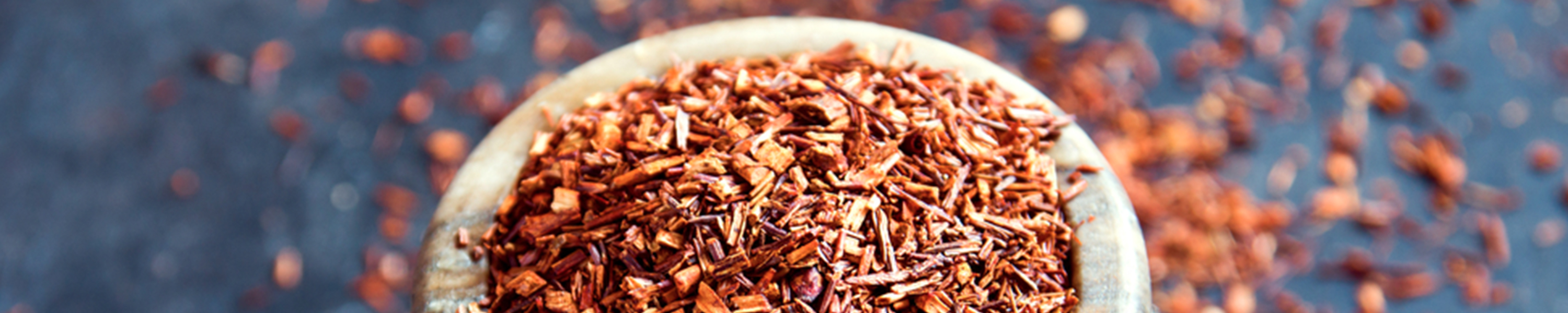 Amazon.com: Fusion Teas: Herbal Teas