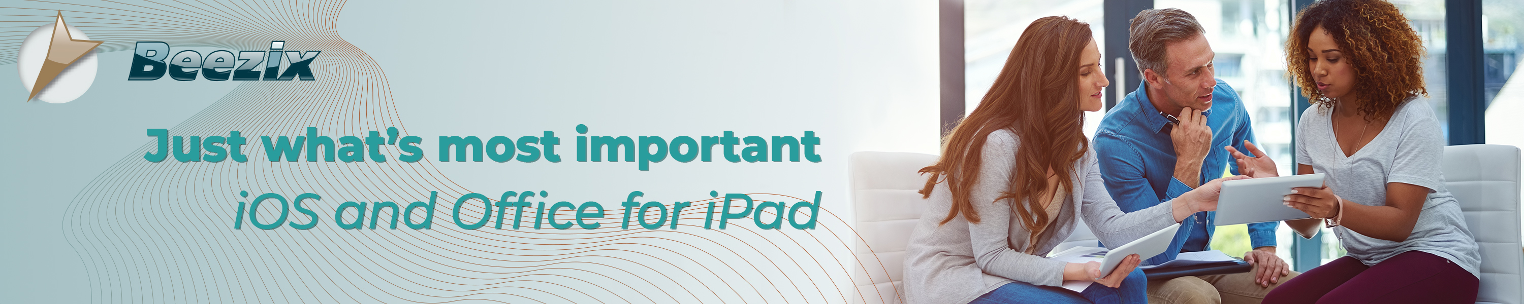 Amazon.com: Beezix Quick Reference Guides: iOS and Office for iPad