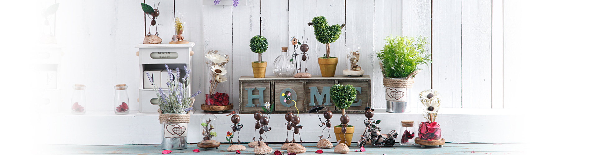 Amazon.com: Bird Fiy: Home and Kitchen