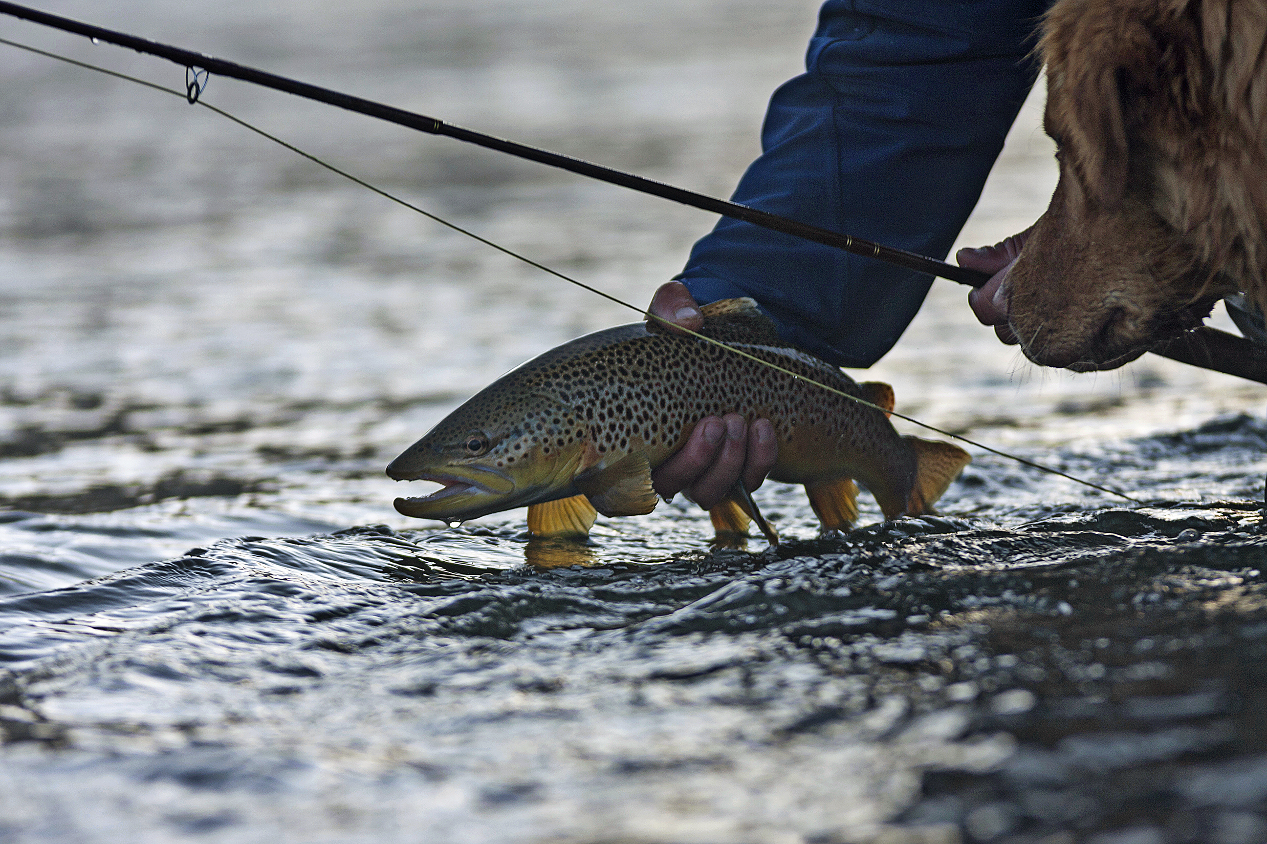 Amazon.com: Creative Angler: Fly Tying Kits