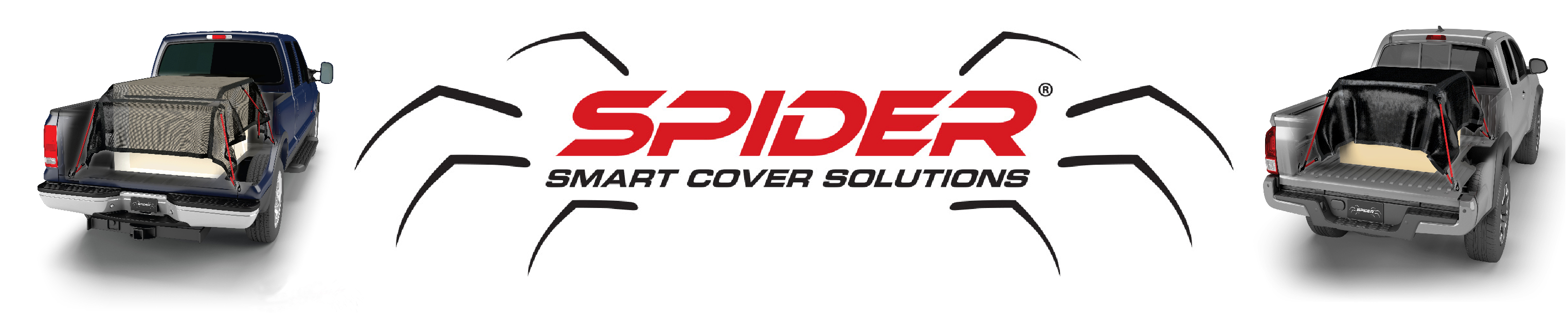 Amazon.com: SPIDER: Spider Cord