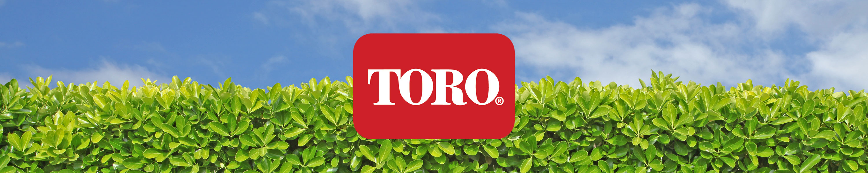 Amazon.com: The Toro Company: Corded Trimmers
