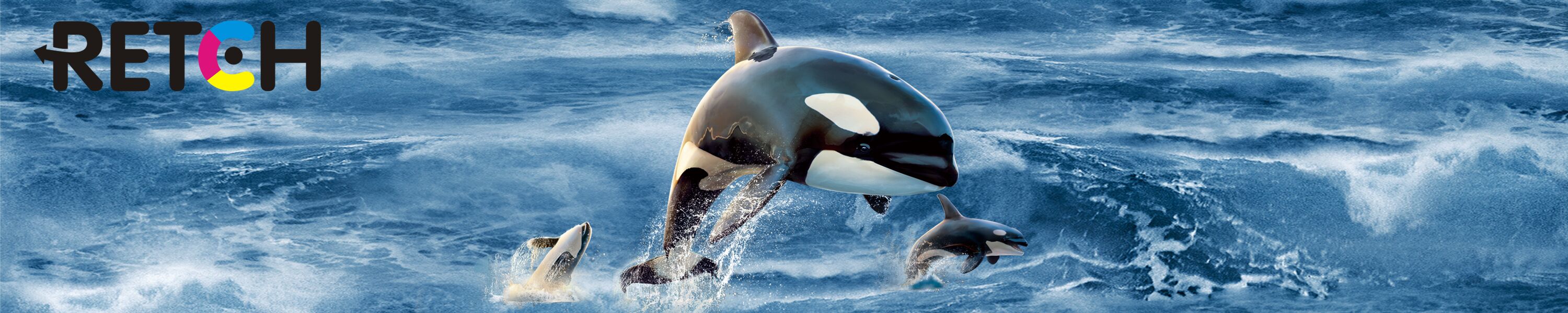 Amazon.com: RETCH: INK CARTRIDGES