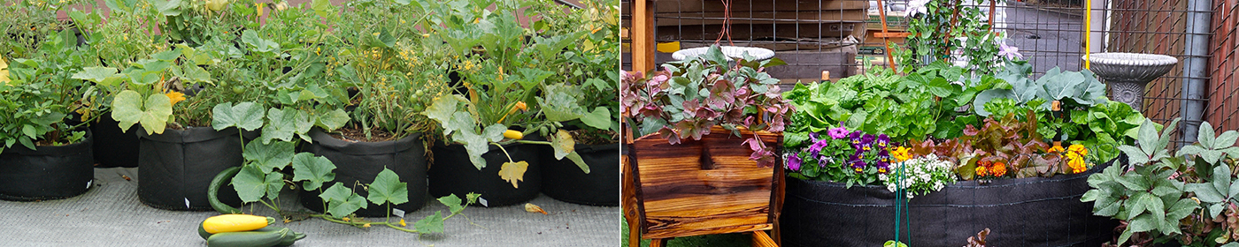 Amazon.com: Smart Pots: Soft-Sided Containers