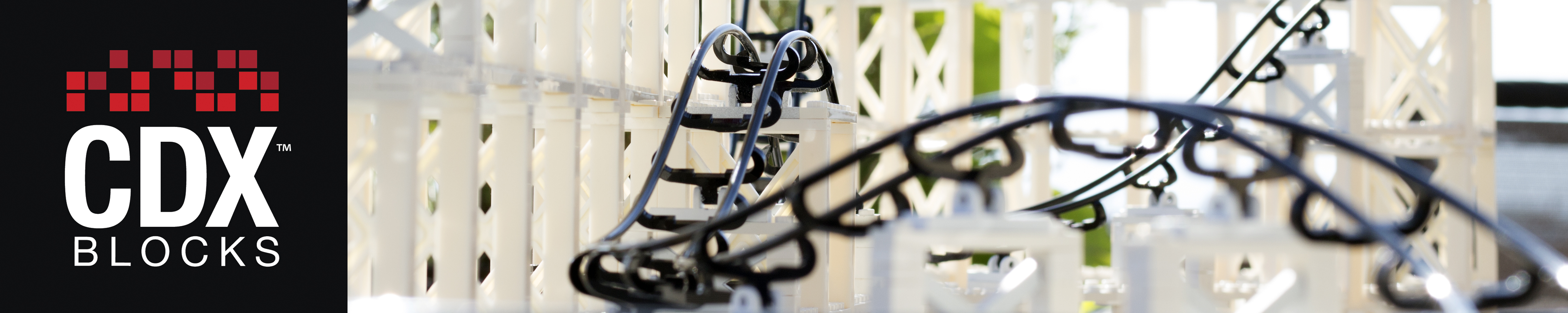 Amazon.com: Coaster Dynamix Inc.: Roller Coasters