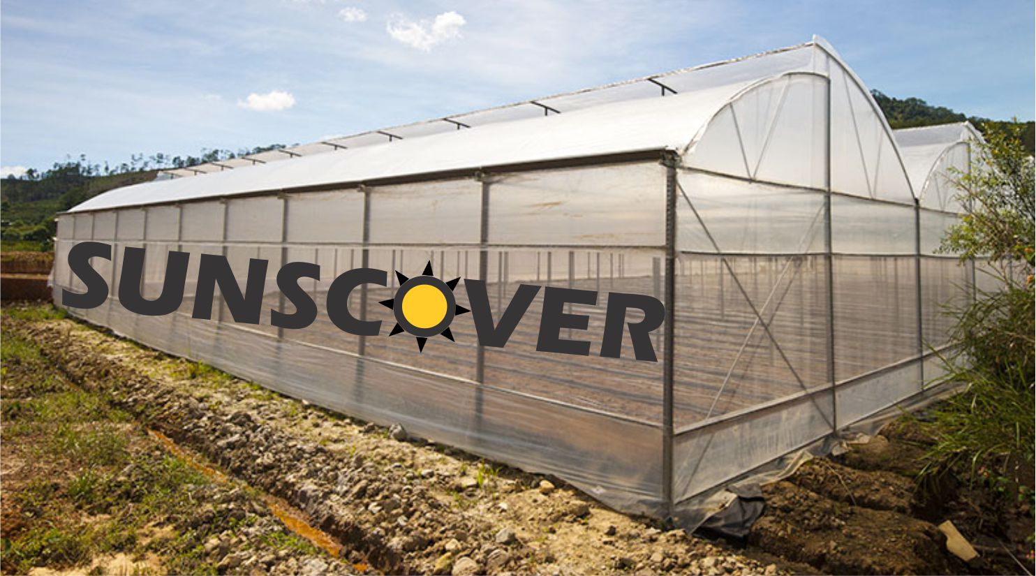 Amazon.com: SUNSCOVER