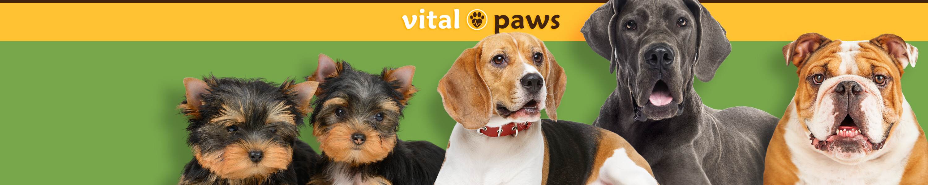 Amazon.com: Vital Paws