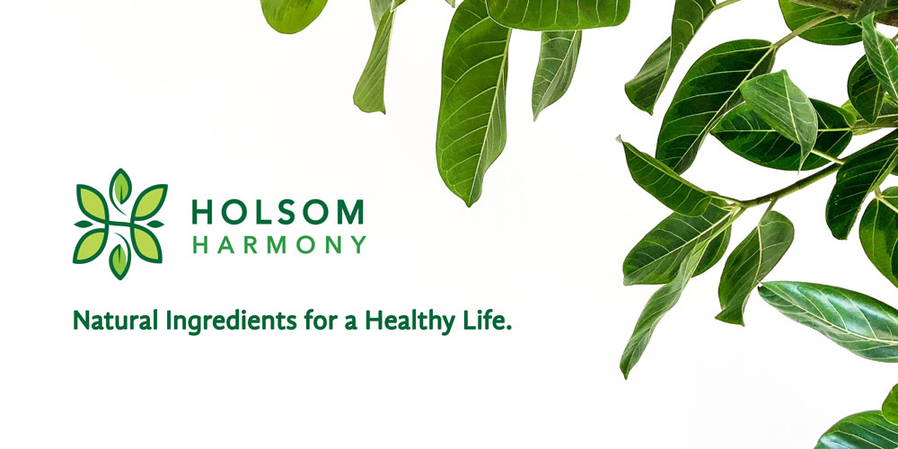 Amazon.com: Holsom Harmony