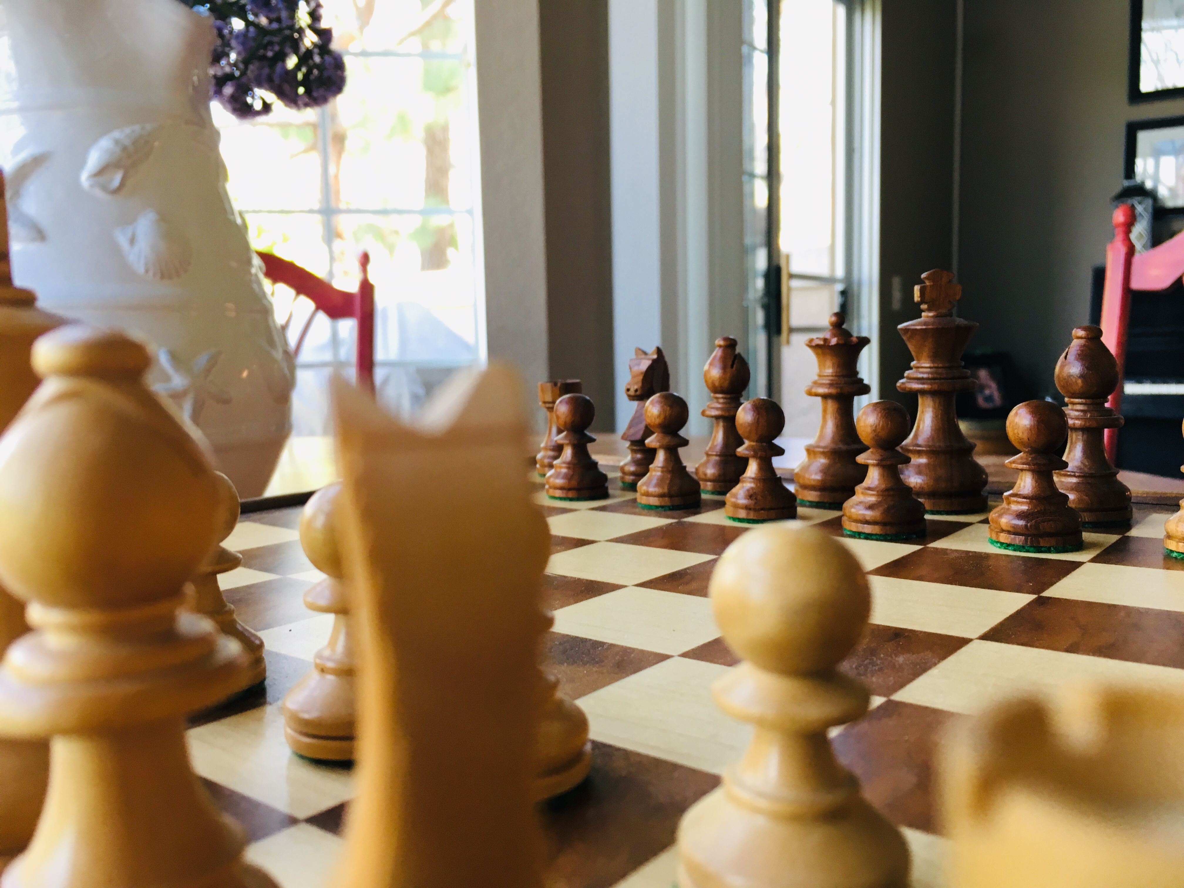 Amazon.com: WE Games: CHESS