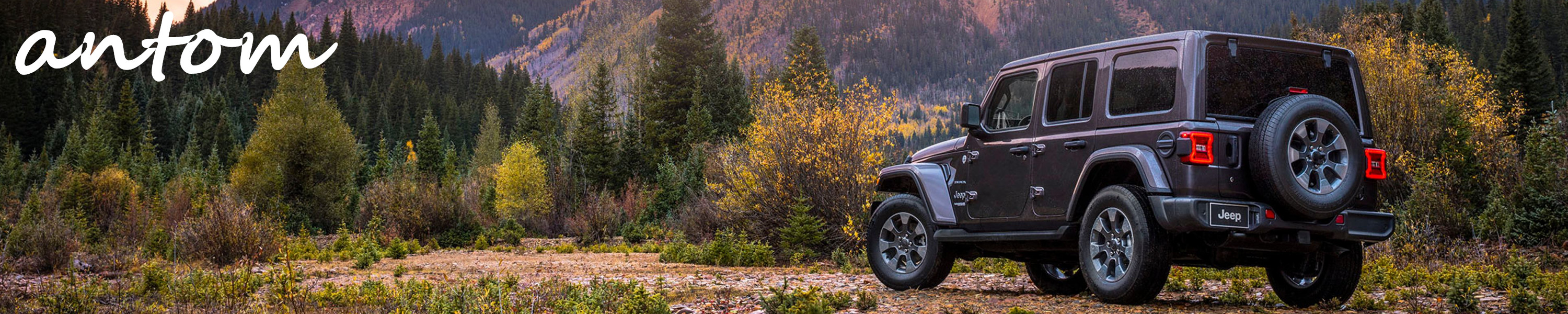 Amazon.com: ANTOM : WIRE CONNECTORS