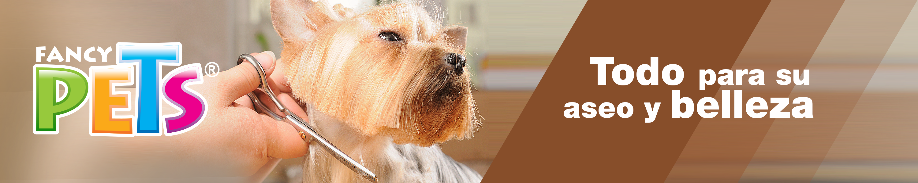 Amazon.com.mx: Fancy Pets: Expert