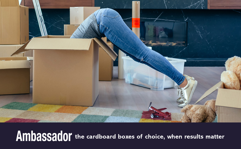 Amazon.co.uk: Ambassador