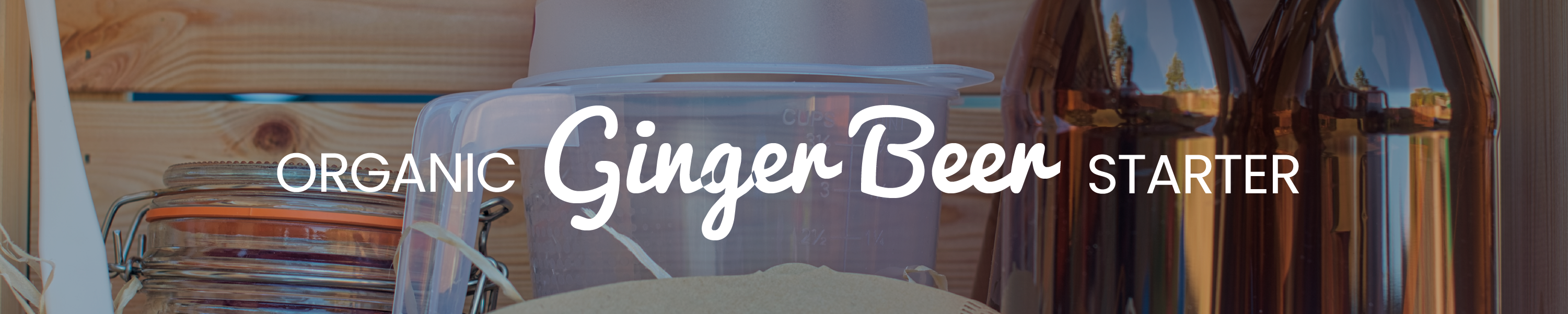 Amazon.co.uk: Freshly Fermented: Ginger Beer