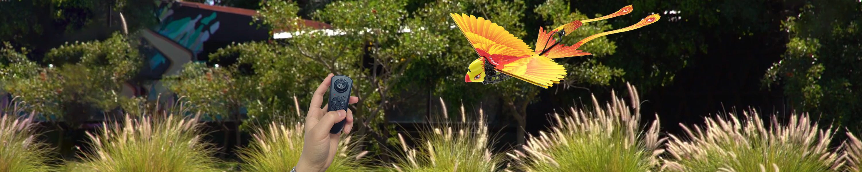 Amazon.co.uk: HANVON: Go Go Bird