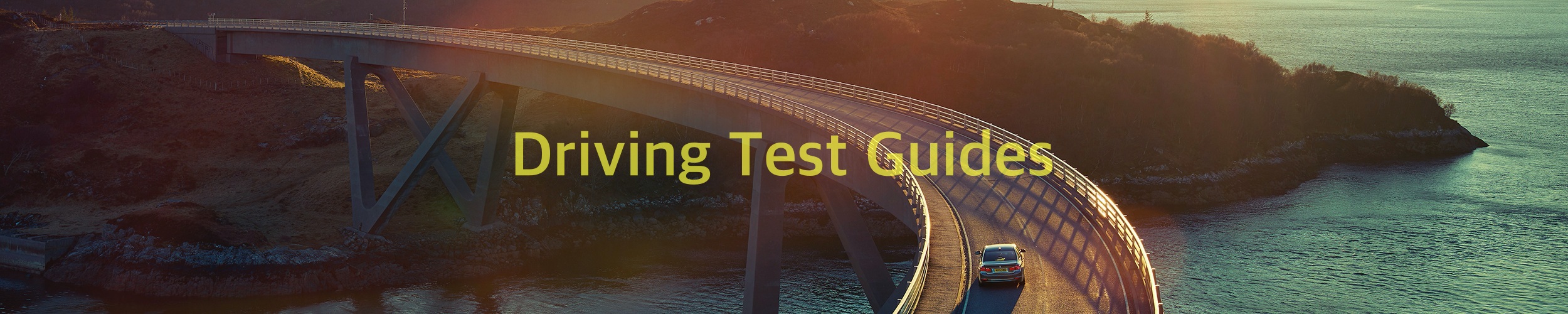Amazon.co.uk: the AA: Driving Test Guides
