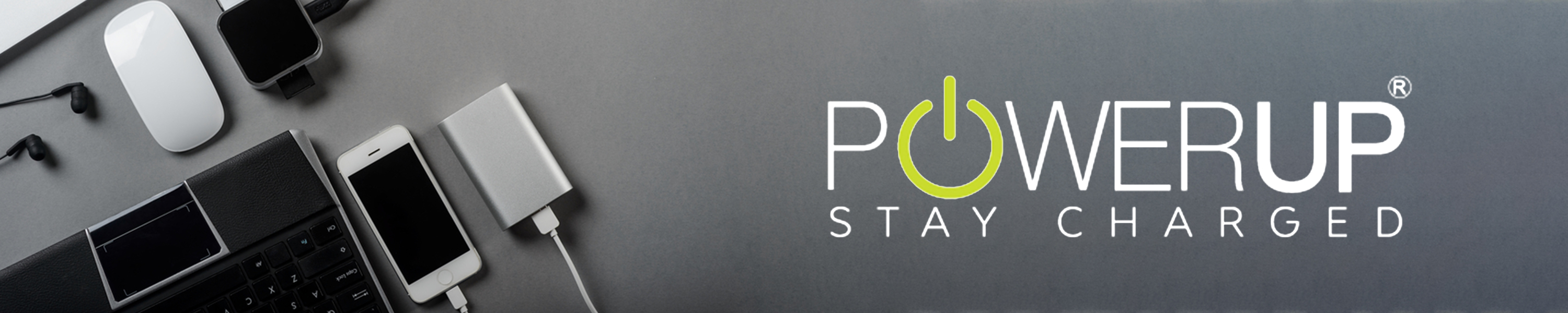 Amazon.in: POWERUP: Power Bank