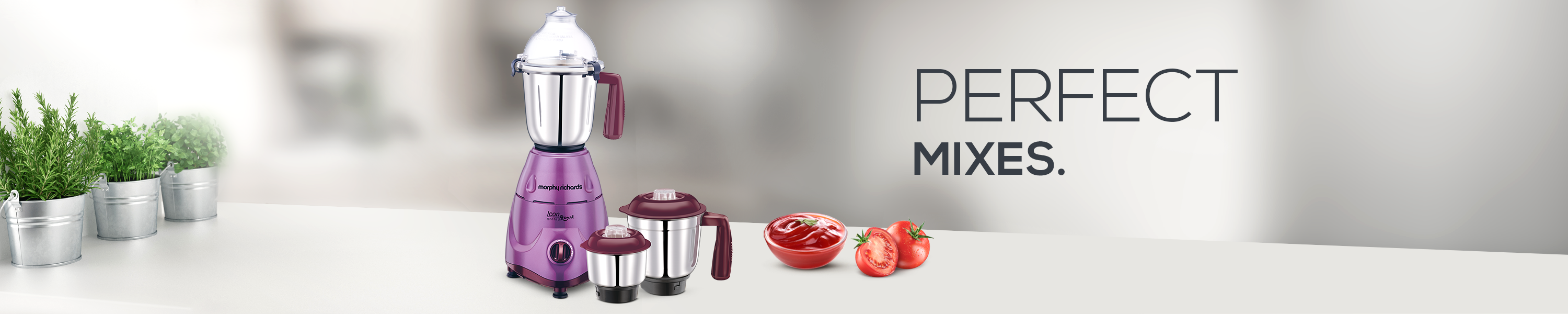 Amazon.in: Morphy Richards: Mixer Grinders