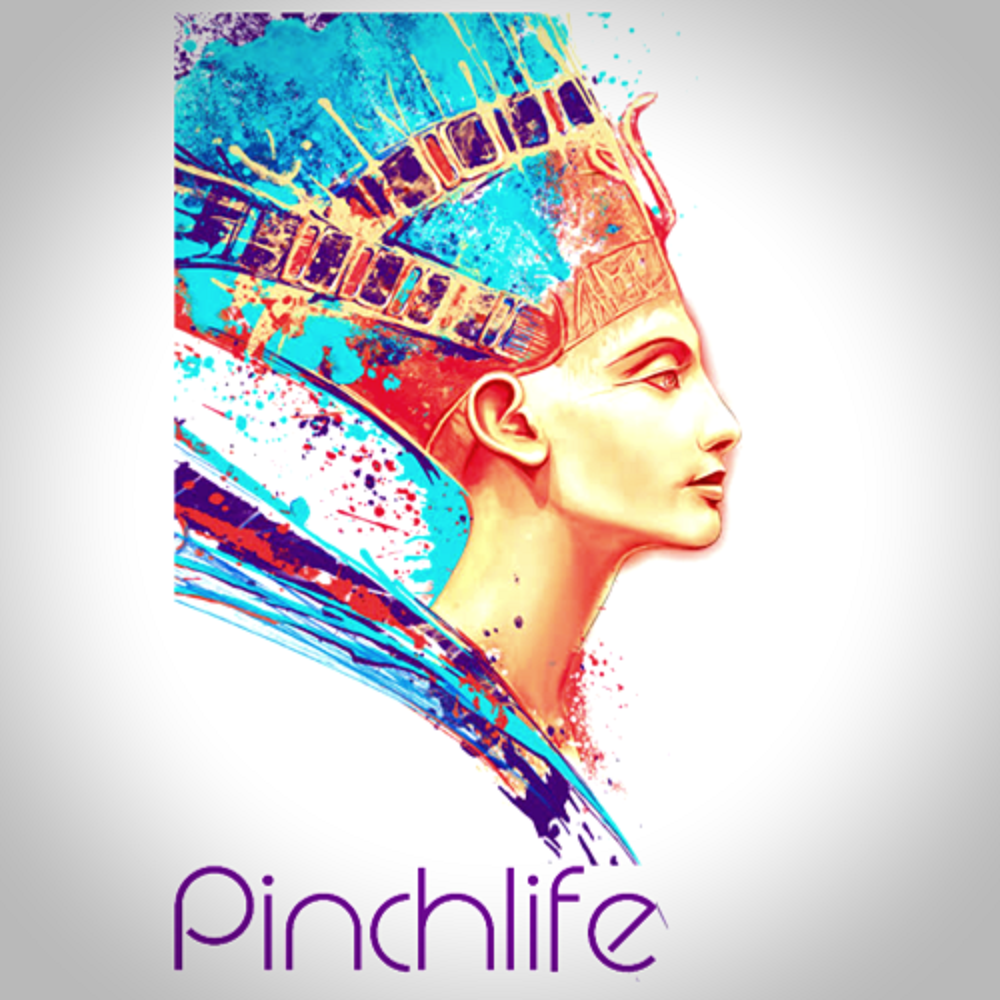 Amazon.in: Pinchlife's