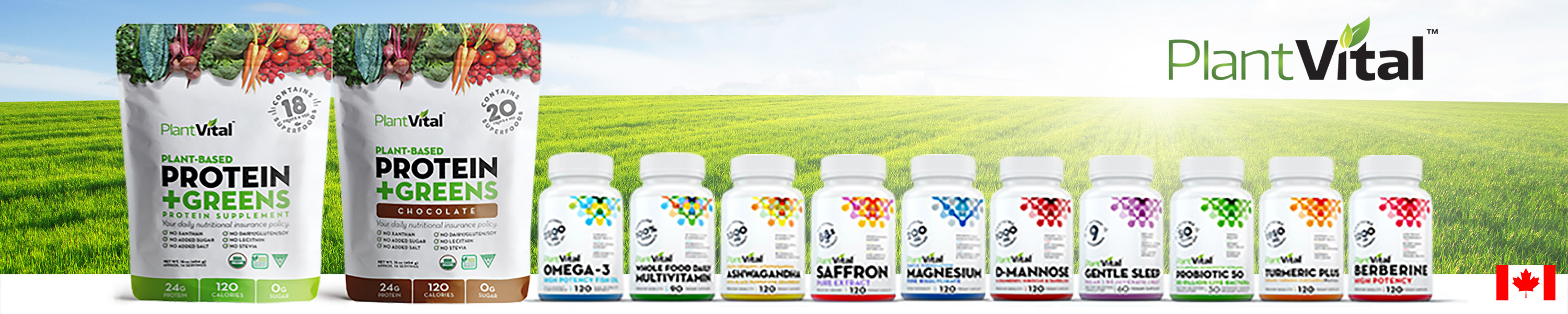 Amazon.com: PlantVital: probiotic