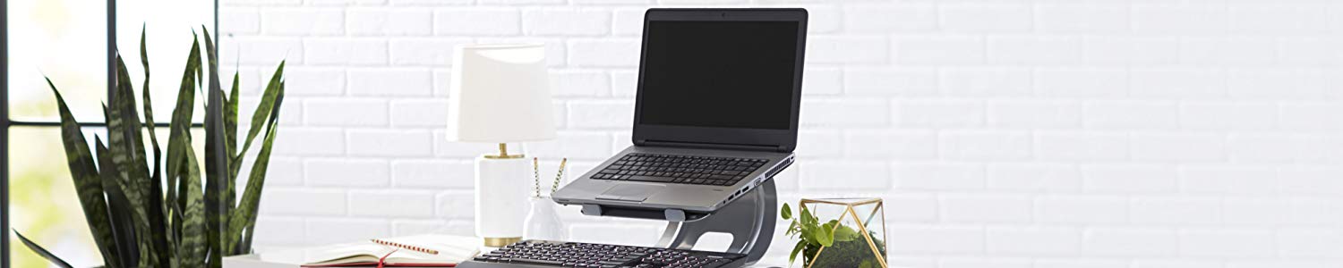 Amazon.ca: AmazonBasics: Computer Accessories