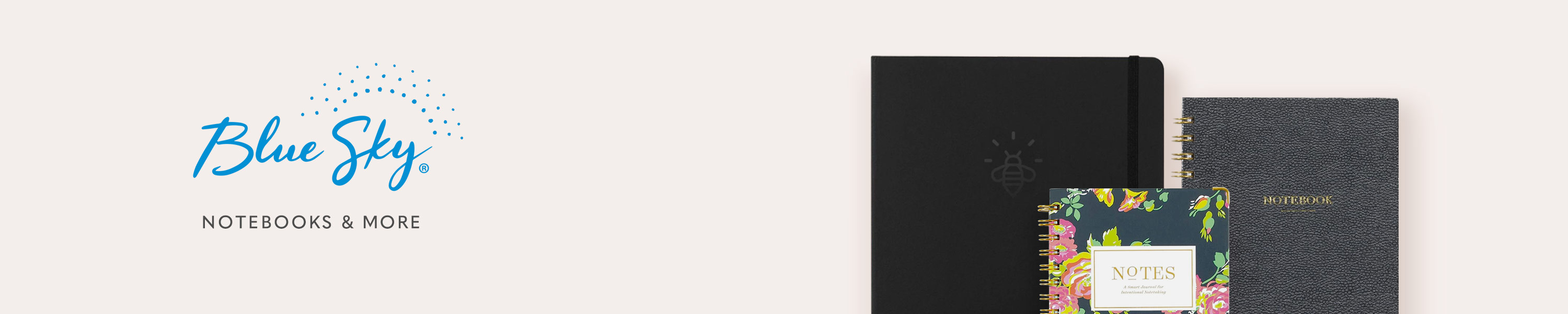 Amazon.ca: Blue Sky LLC: Notebooks & More