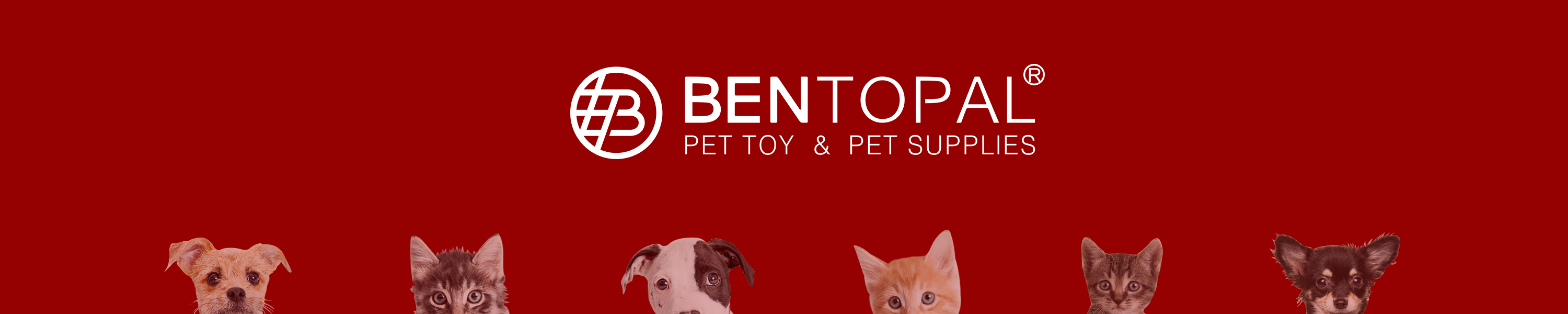 Amazon.com: BENTOPAL: Newest