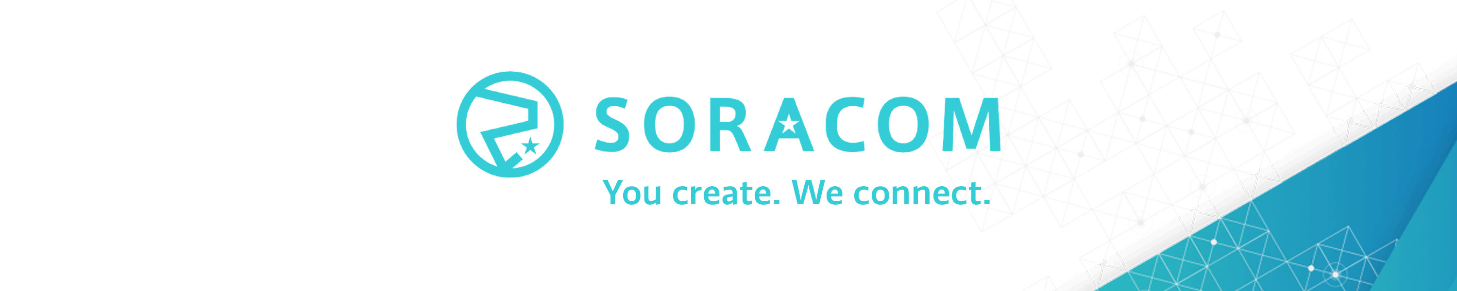 Amazon.com: Soracom: IoT SIM card