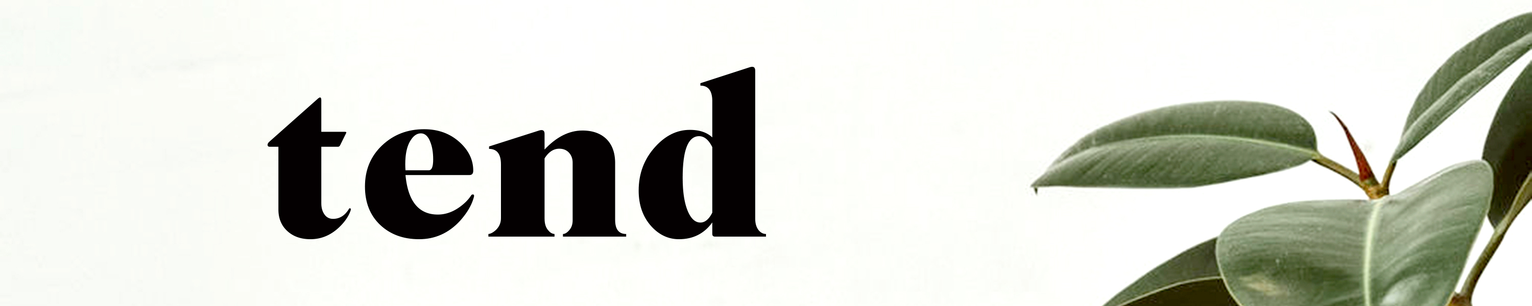 Amazon.com: Tend Insights Inc: Lynx Pro & Lynx Solar