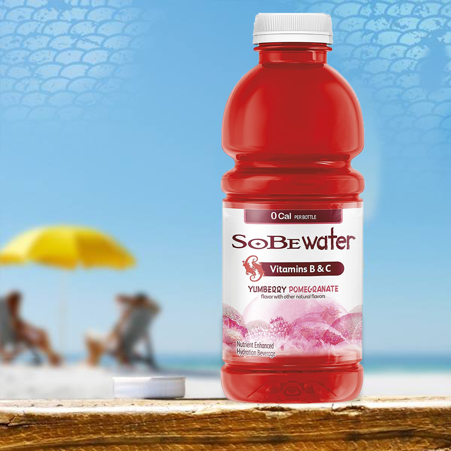 Amazon.com: Sobe Water
