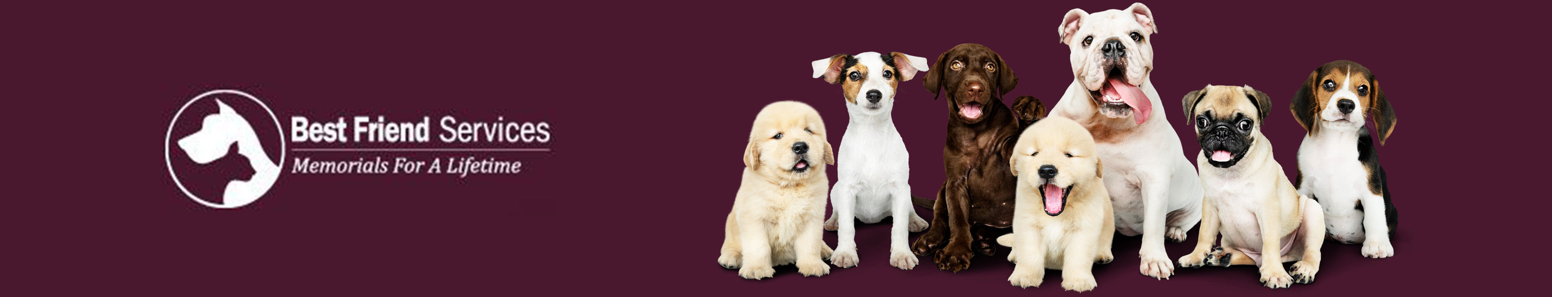 Amazon.com: Best Friend Services