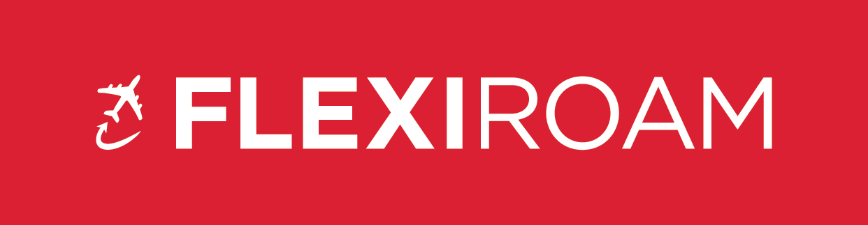 Amazon.com: Flexiroam