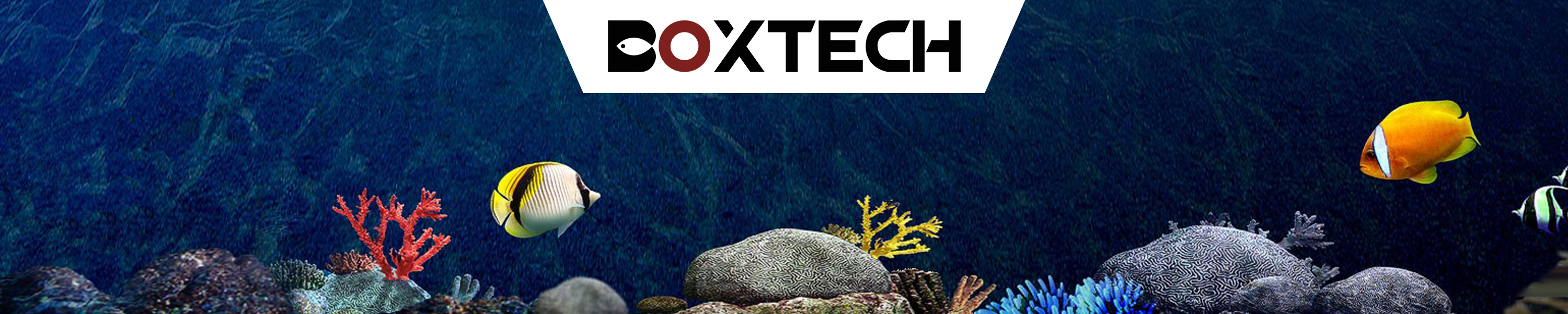 Amazon.com: Boxtech: Aquarium Filter