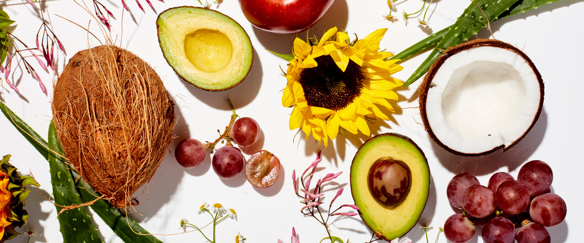 Amazon.com: Evereden: Evereden