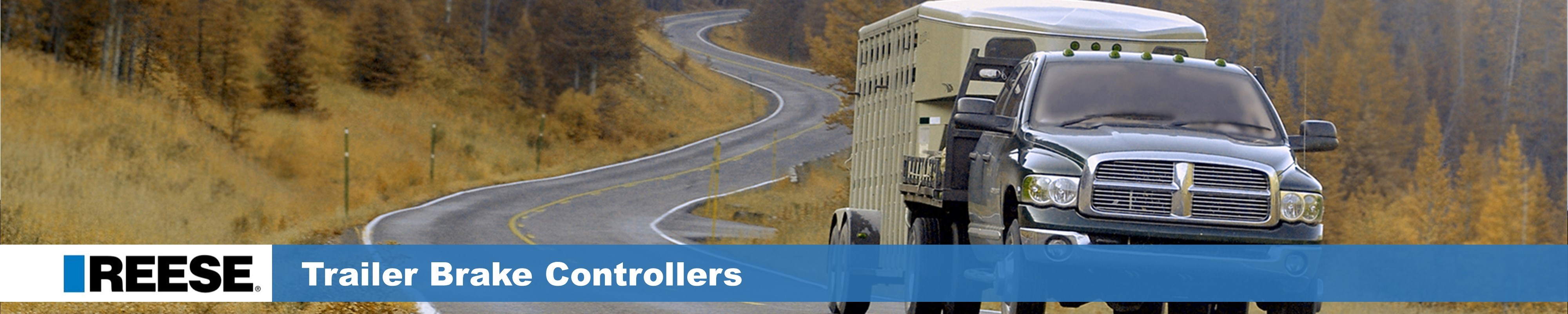Amazon.com: Reese: Trailer Brake Controls