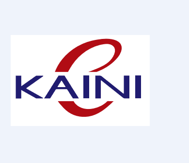 Amazon.com: E KAINI