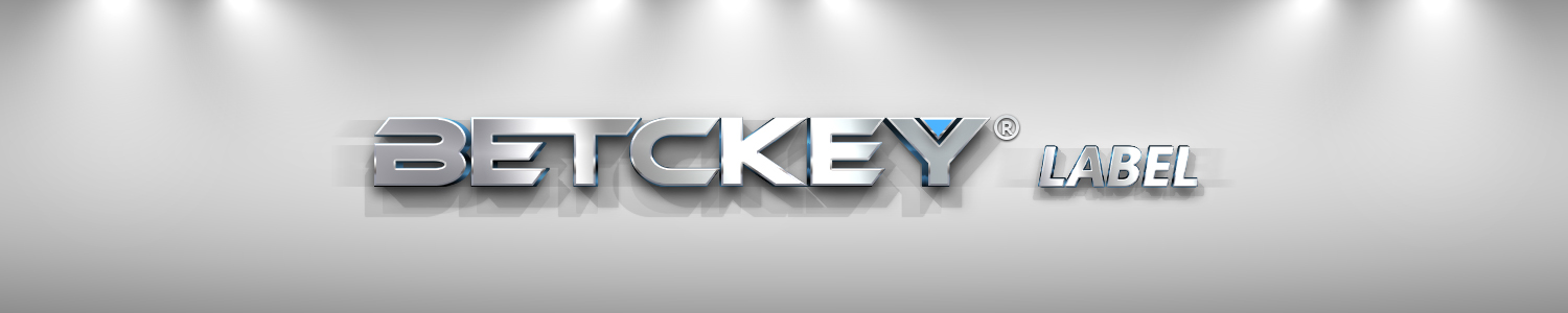 Amazon.com: BETCKEY: Warning Sticker