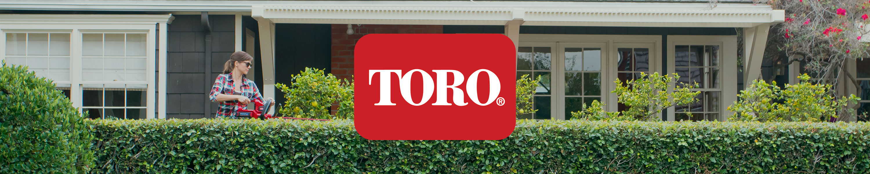 Amazon.com: The Toro Company: Portable Power