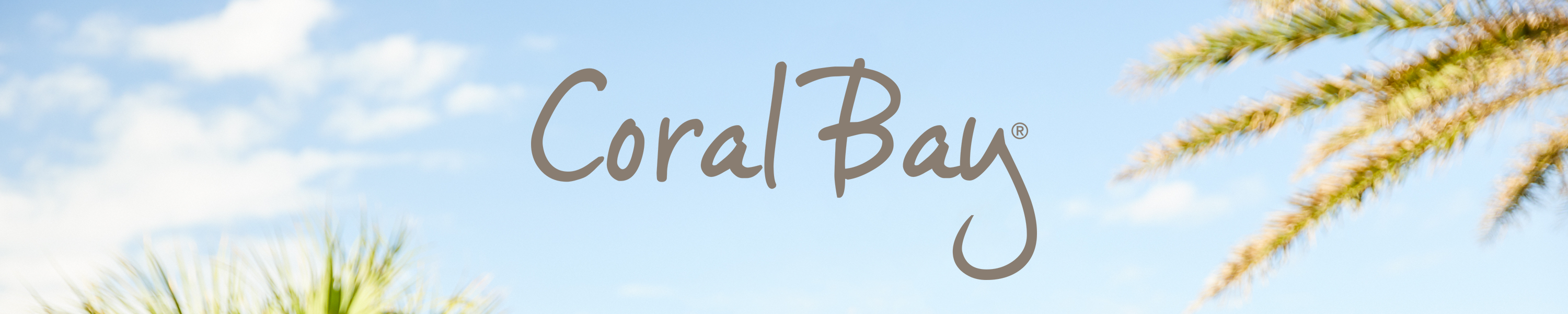 Amazon.com: Coral Bay: Capris & Pants