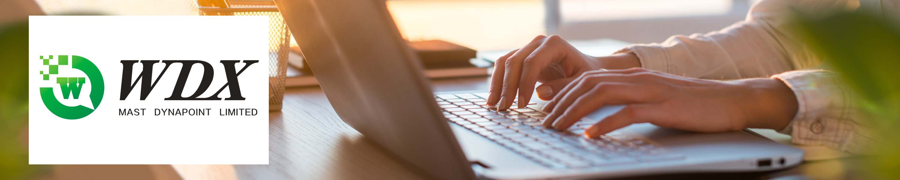 Amazon.com: W WDX MAST DYNAPOINT LIMITED